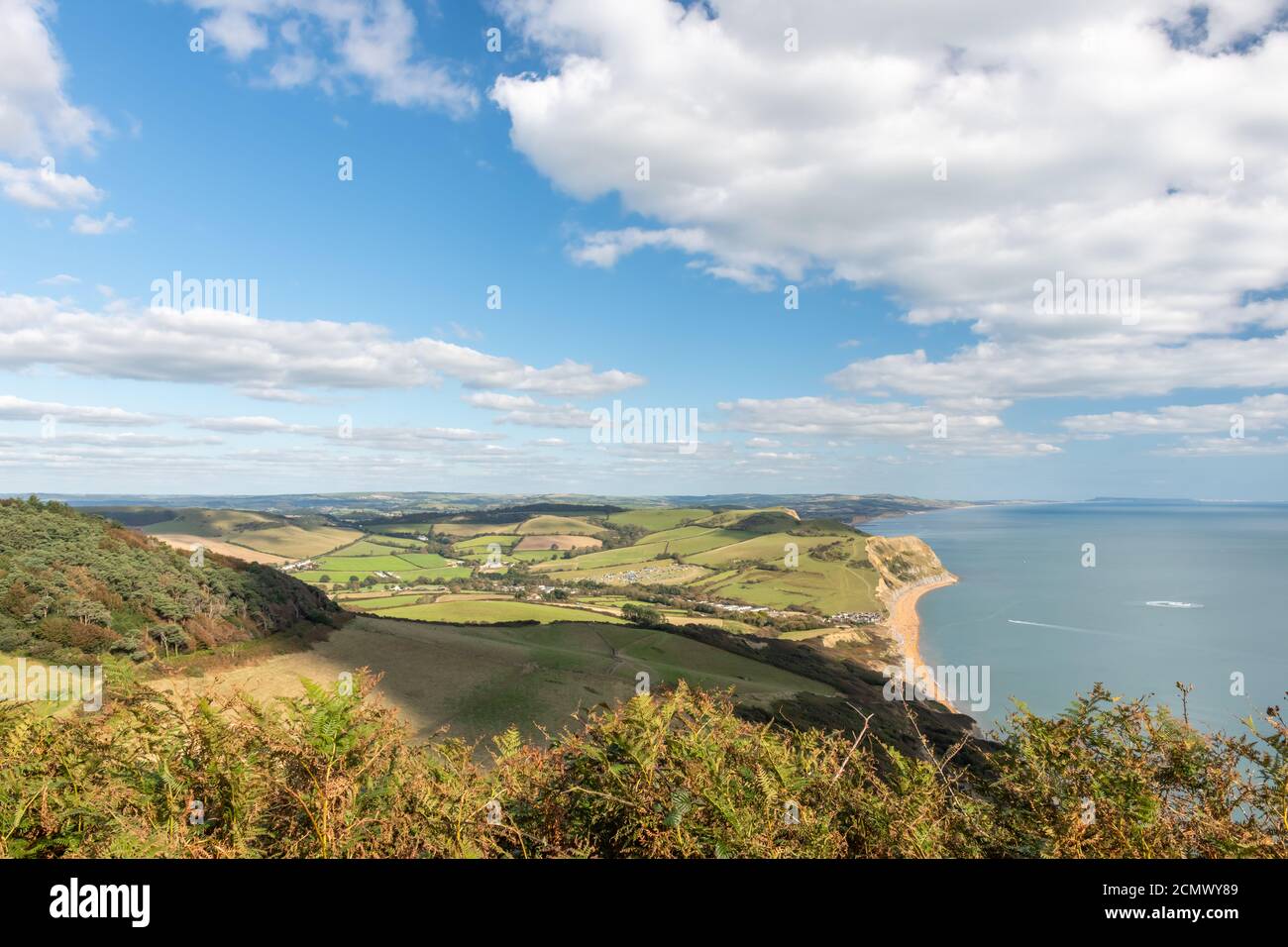Golden cap from seatown walking hi-res stock photography and images - Alamy