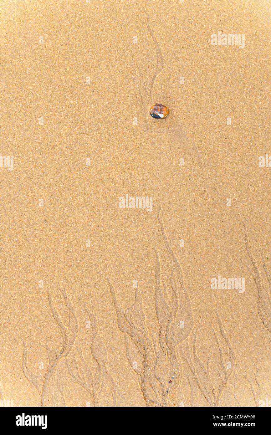 Natural Sand Art of the Beach atlantic ocean Stock Photo - Alamy