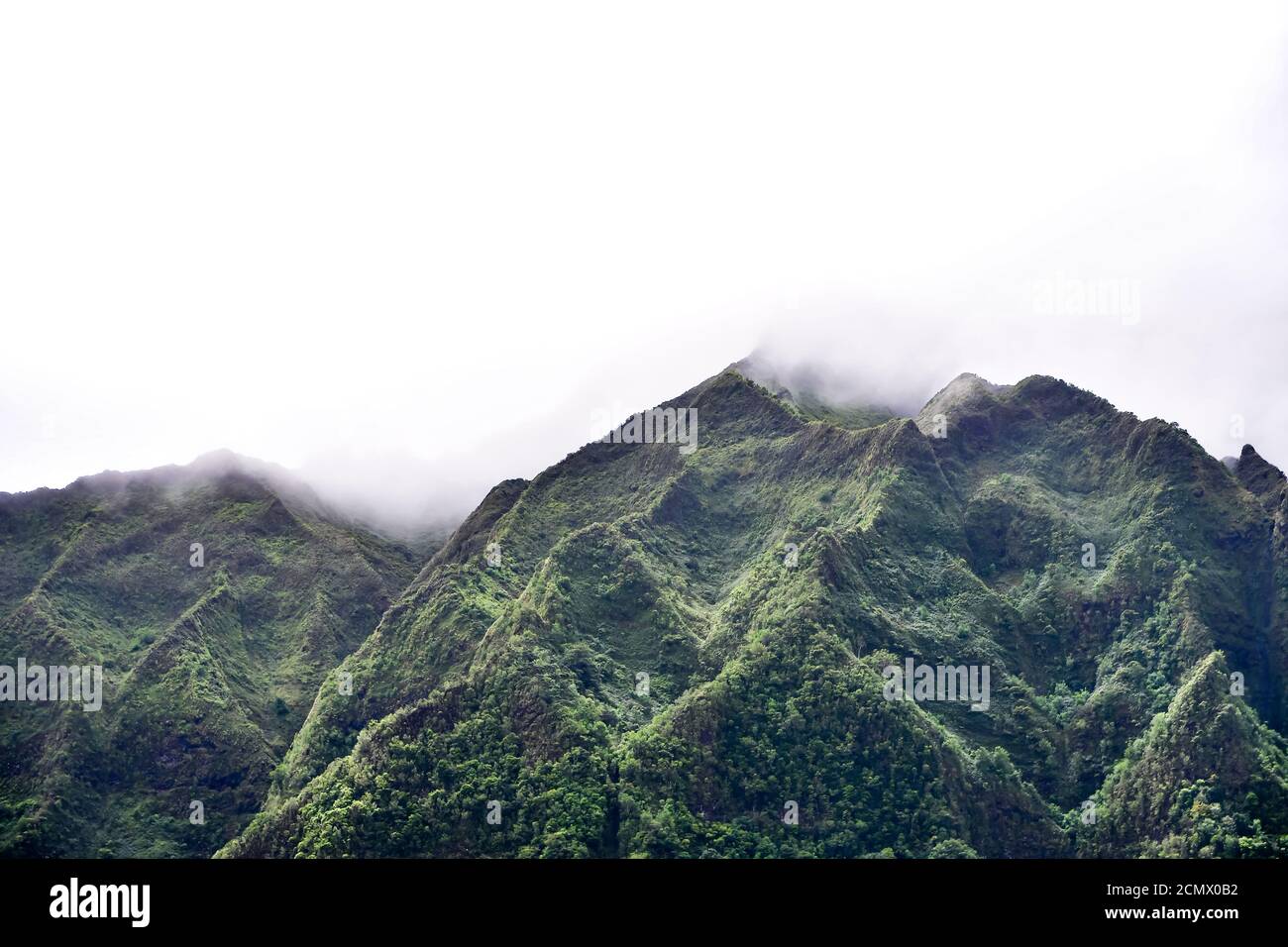 A close up of a lush green forest and mist over mountains in Oahu ...