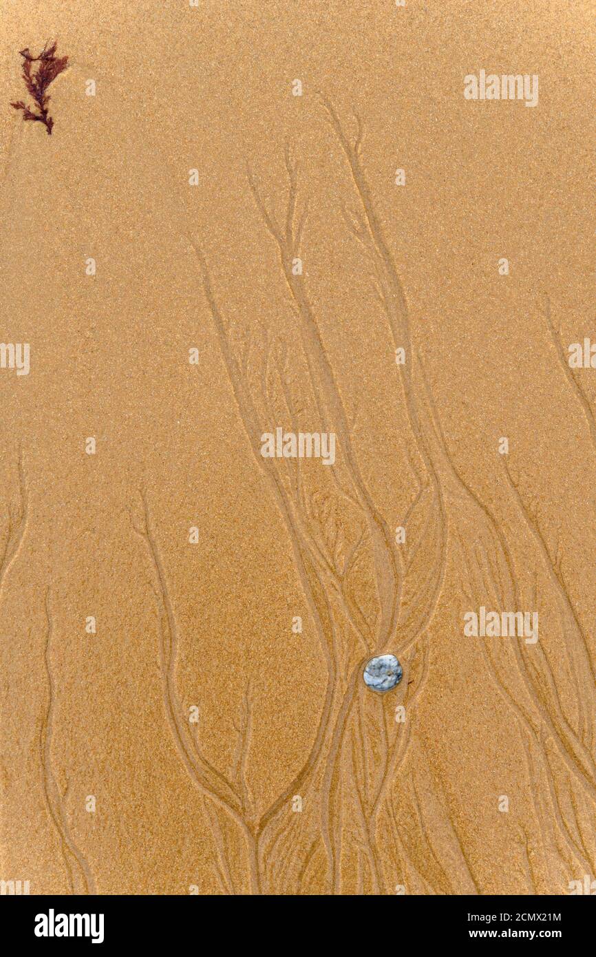 Natural Sand Art of the Beach atlantic ocean Stock Photo - Alamy