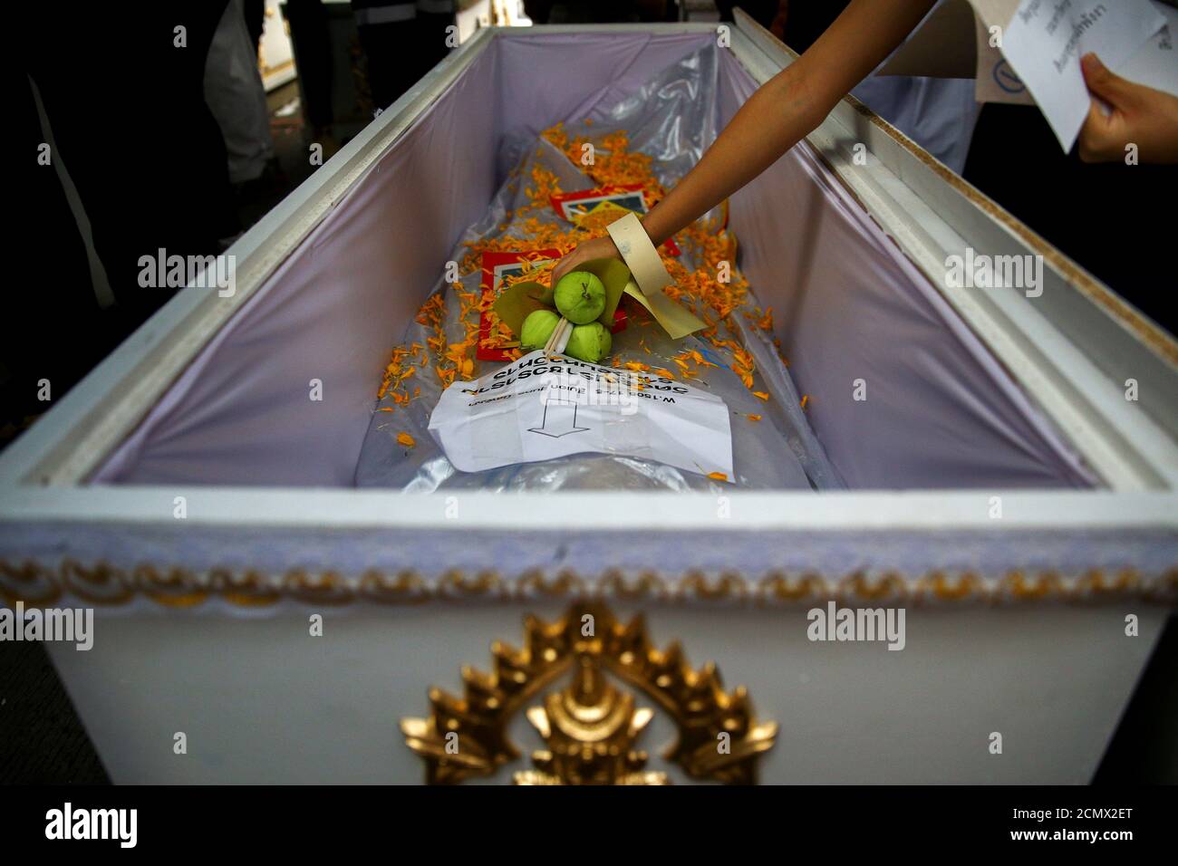 At cadaver of a hi-res stock photography and images - Alamy