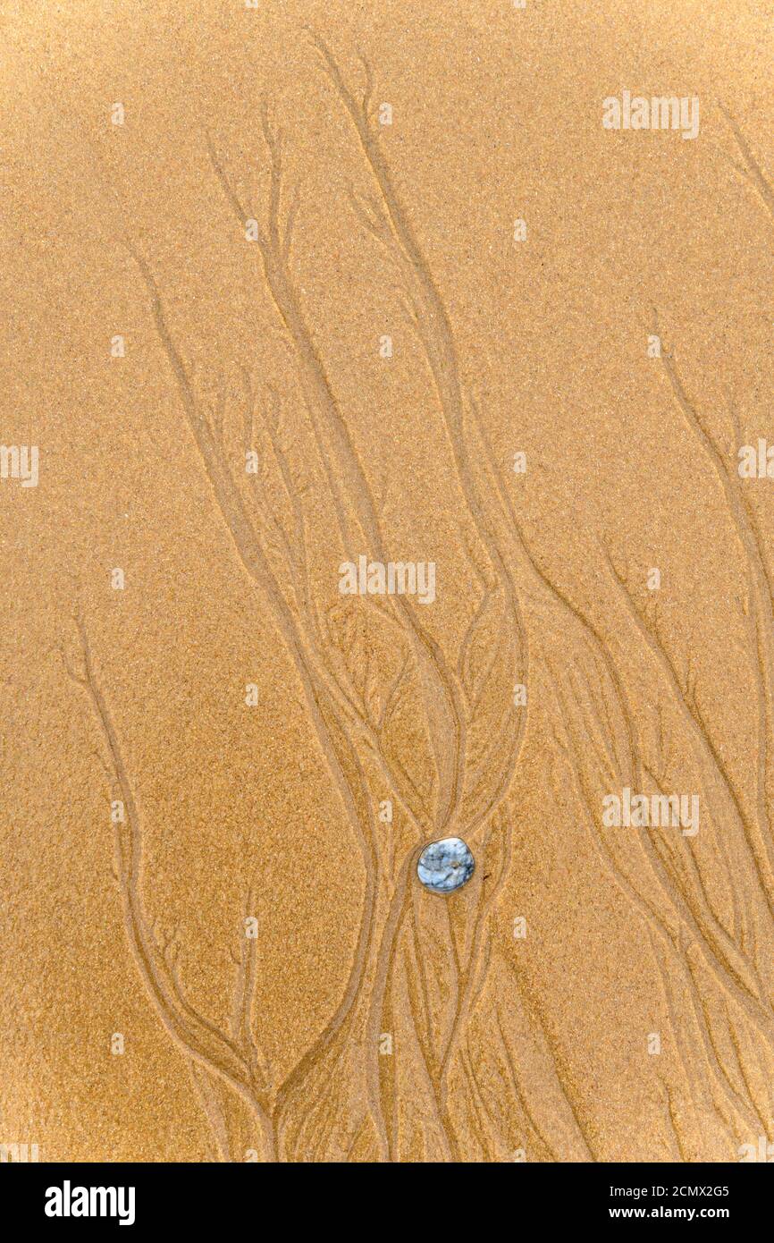 Natural Sand Art of the Beach atlantic ocean Stock Photo - Alamy