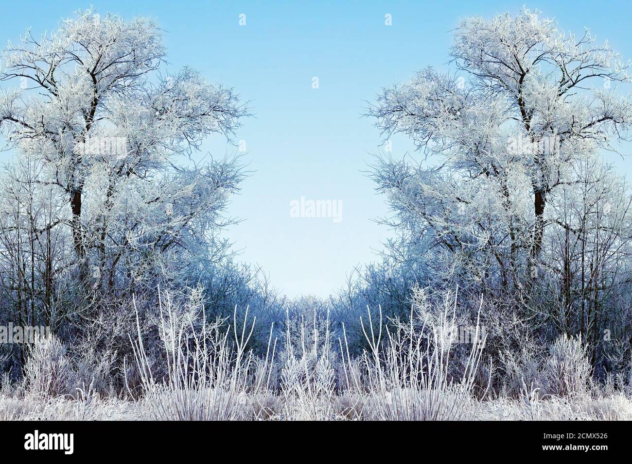 Winter background with icy branches in the foreground Stock Photo - Alamy