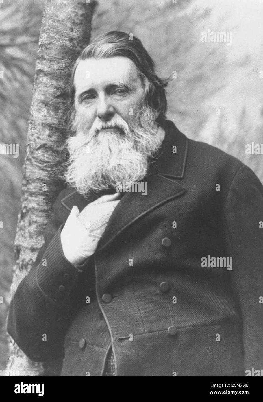 John Ruskin, by Herbert Rose Barraud, standing, 1885 Stock Photo - Alamy