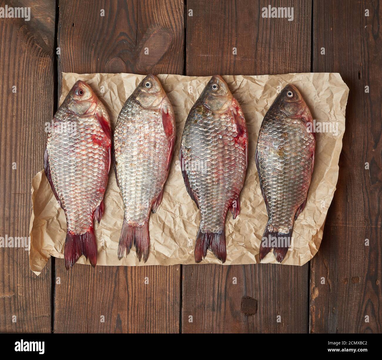 Brown fish scales closeup hi-res stock photography and images - Alamy