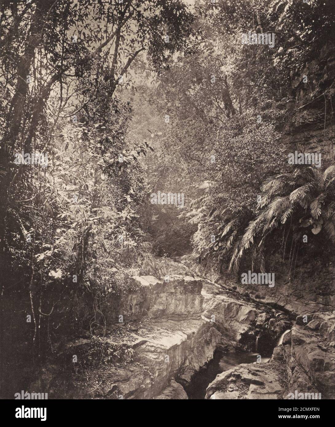 John thomson scottish hi-res stock photography and images - Alamy