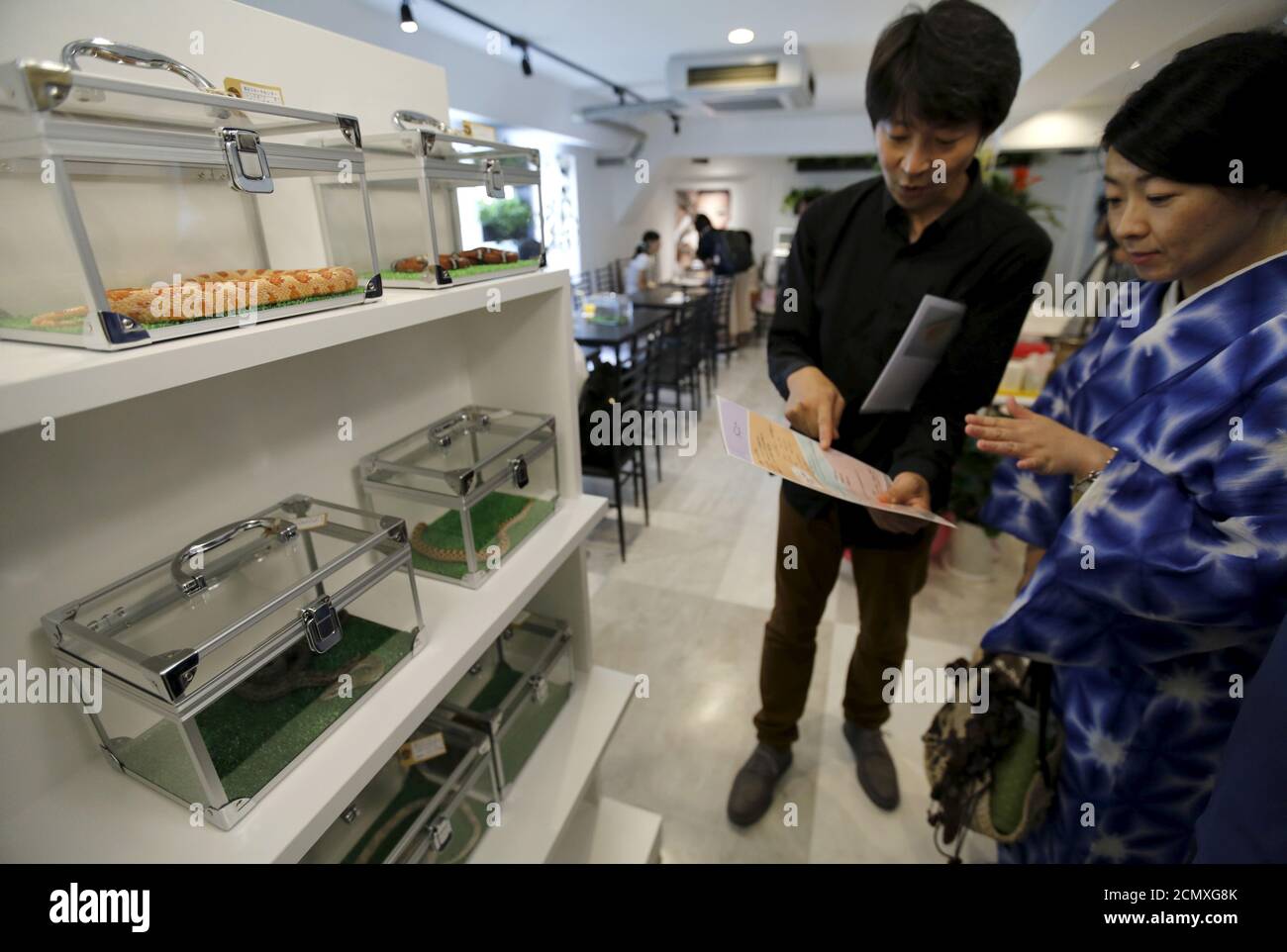 Snakes in the cage hi-res stock photography and images - Alamy