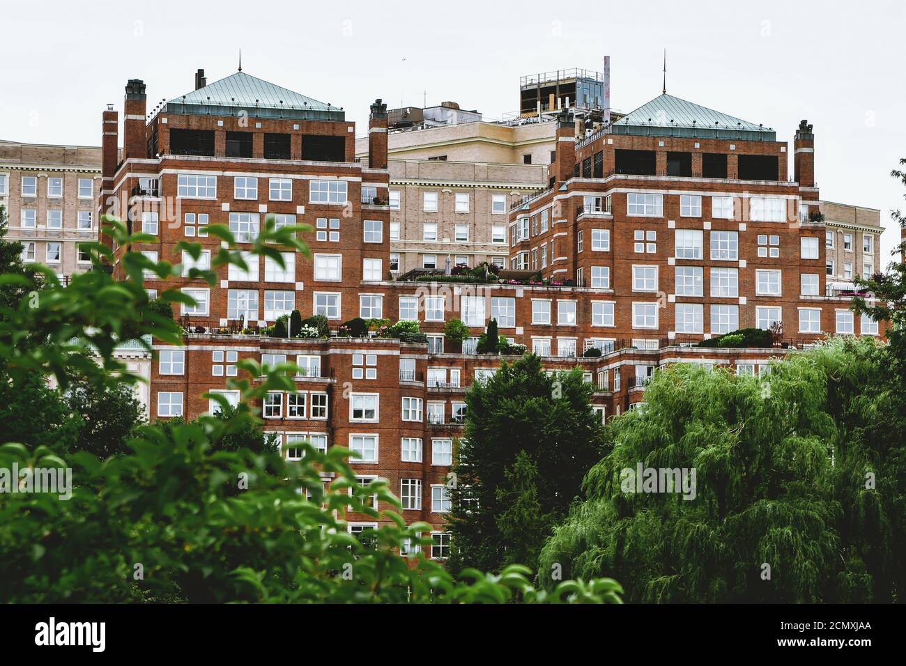 Apartment building between tree branches Stock Photo - Alamy