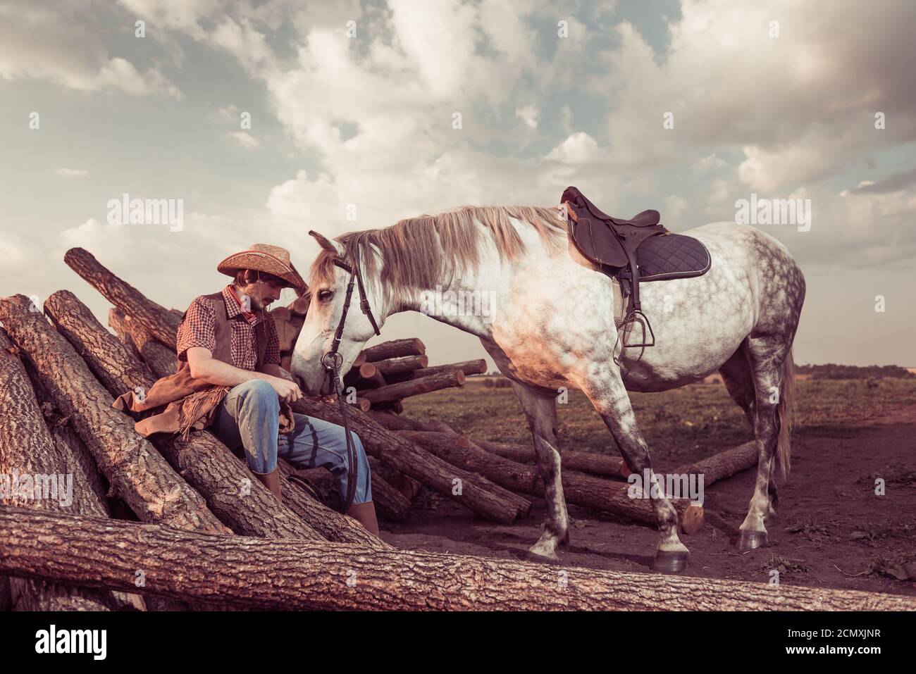 young handsome cowboy with horse at farmland Stock Photo - Alamy
