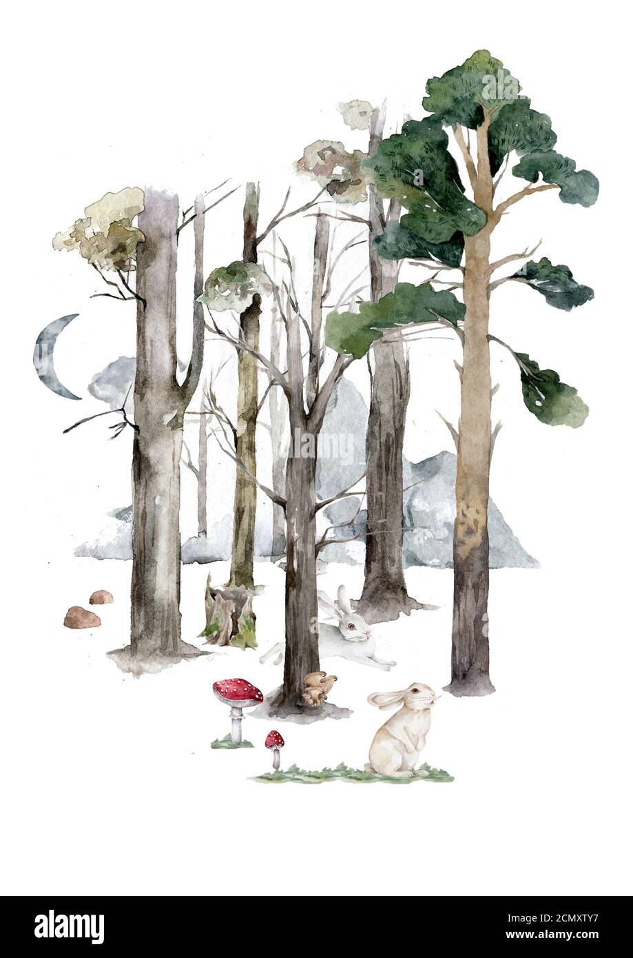 Autumn forest flat hand drawn illustrations set. Woody flora and fauna ...