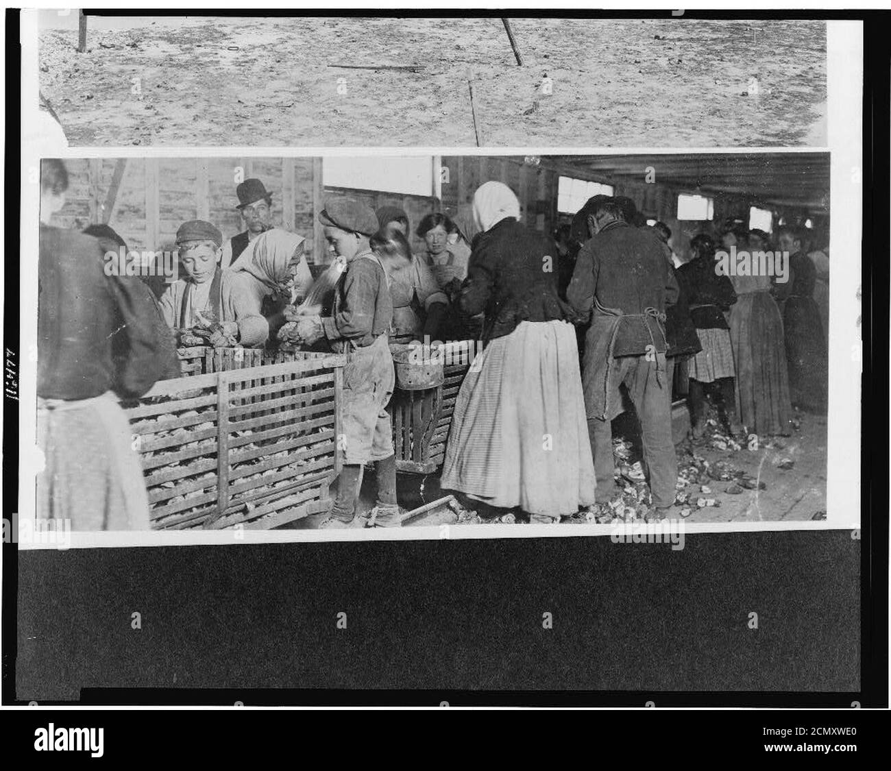 Oyster shucker Black and White Stock Photos & Images - Alamy