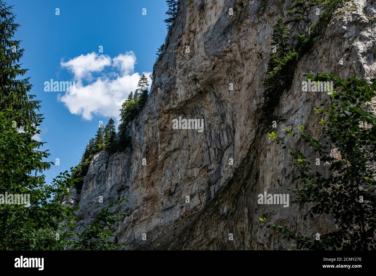 A close up of a rock mountain Stock Photo - Alamy