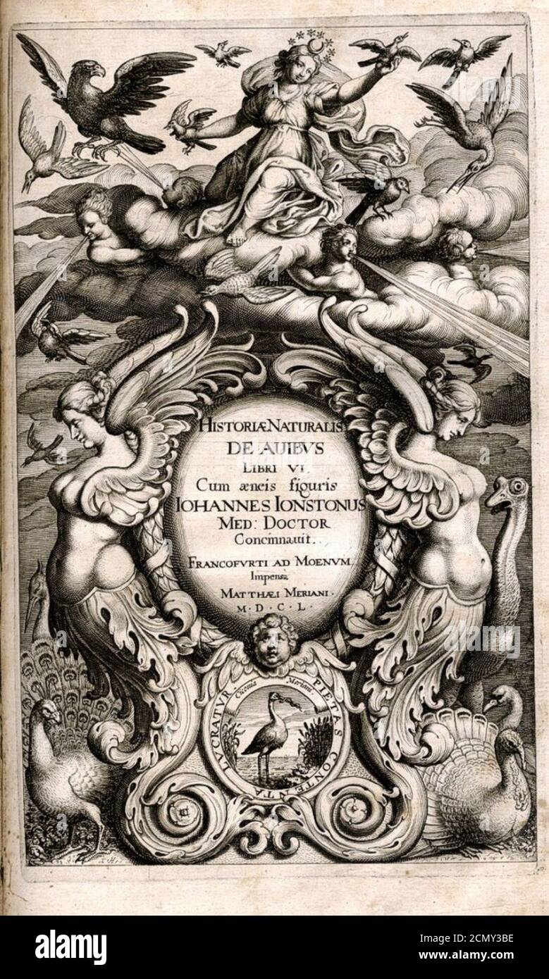 Avibus hi-res stock photography and images - Alamy