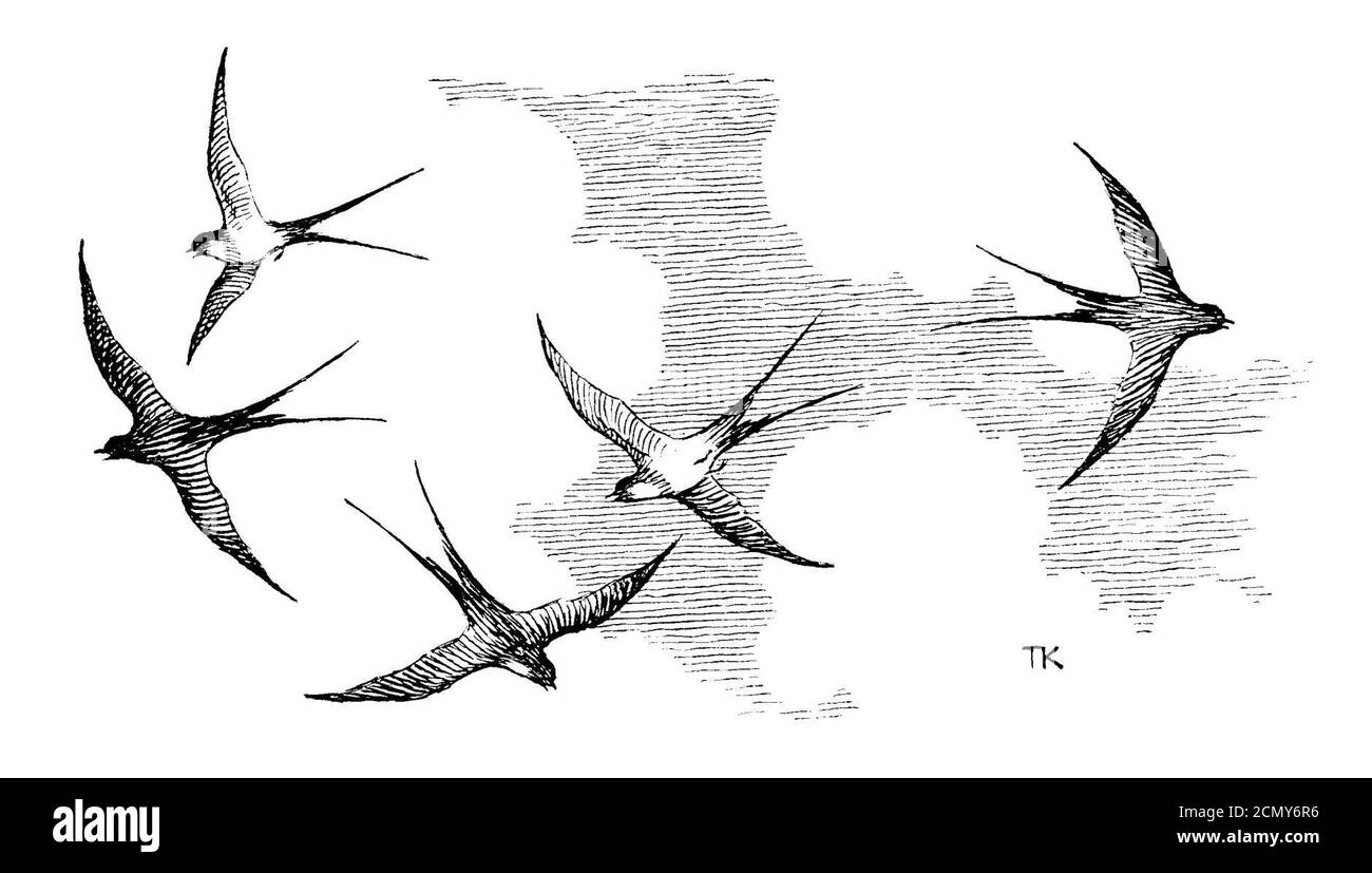 Jomfru maria hi-res stock photography and images - Alamy