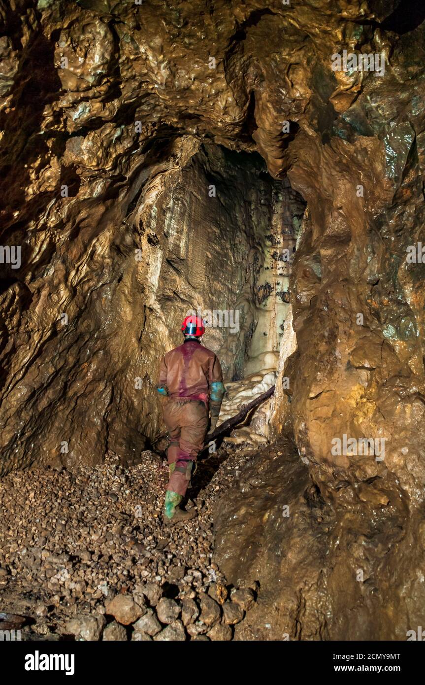 Cave Fossils High Resolution Stock Photography and Images - Alamy