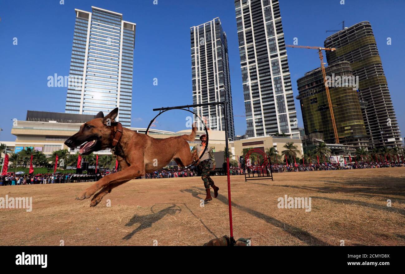 Sri lanka commando regiment hi-res stock photography and images - Alamy