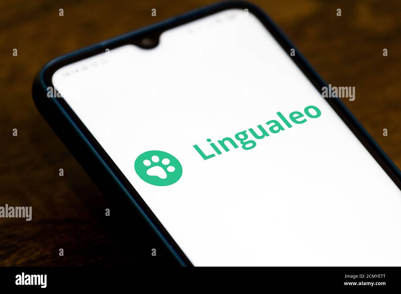 Lingualeo logo hi-res stock photography and images - Alamy