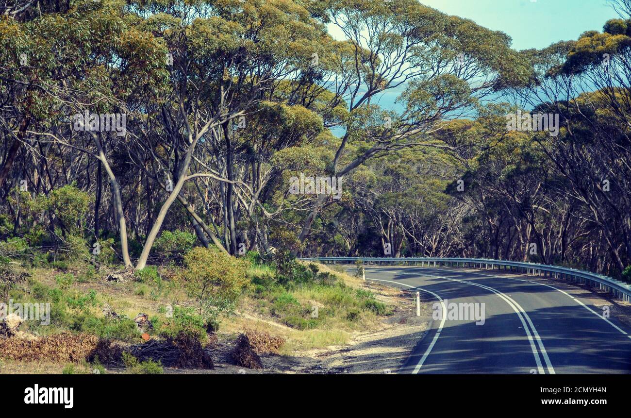 Road going through forest on Kangaroo Island Australia, before 2019 ...