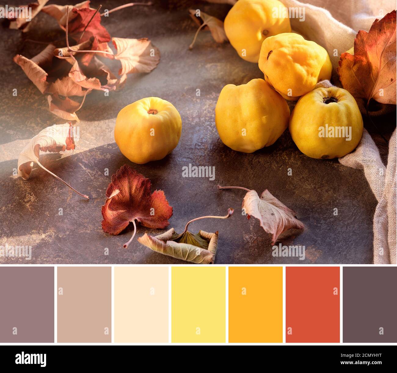 Color matching palette from top view image of Japanese quince fruits on ...
