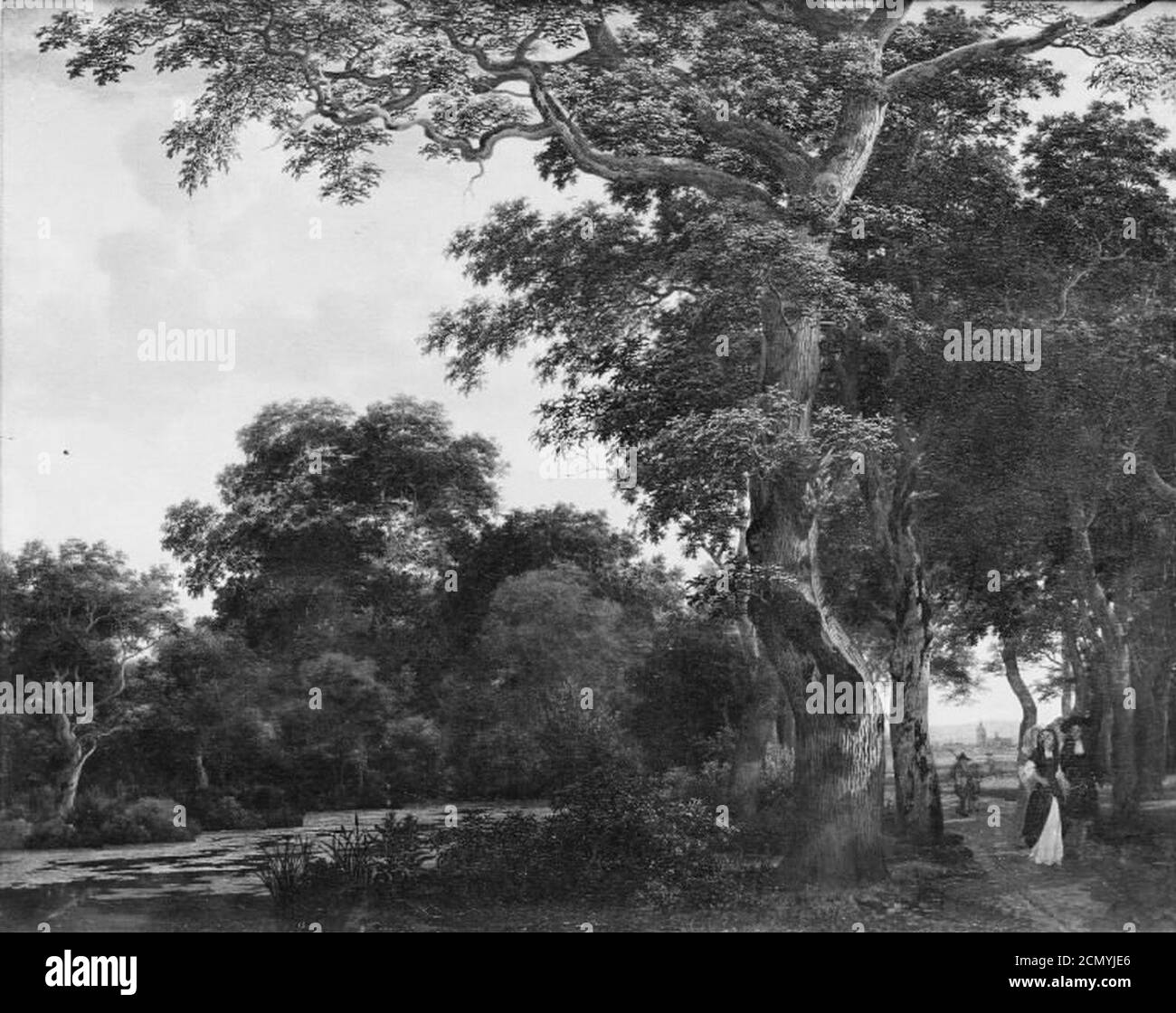 Oak avenue Black and White Stock Photos & Images - Alamy