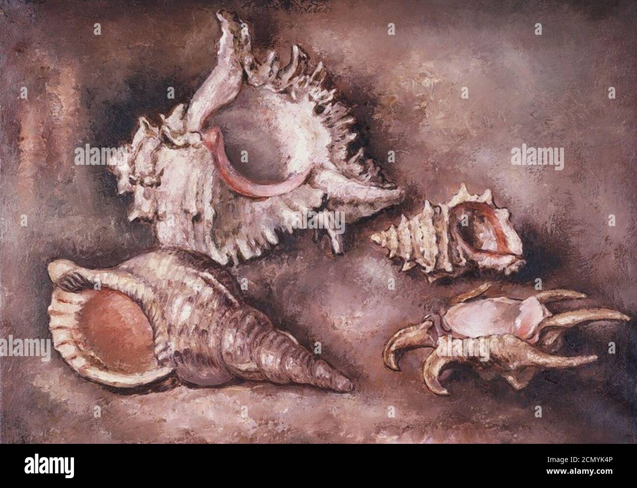 Schelpen hi-res stock photography and images - Alamy