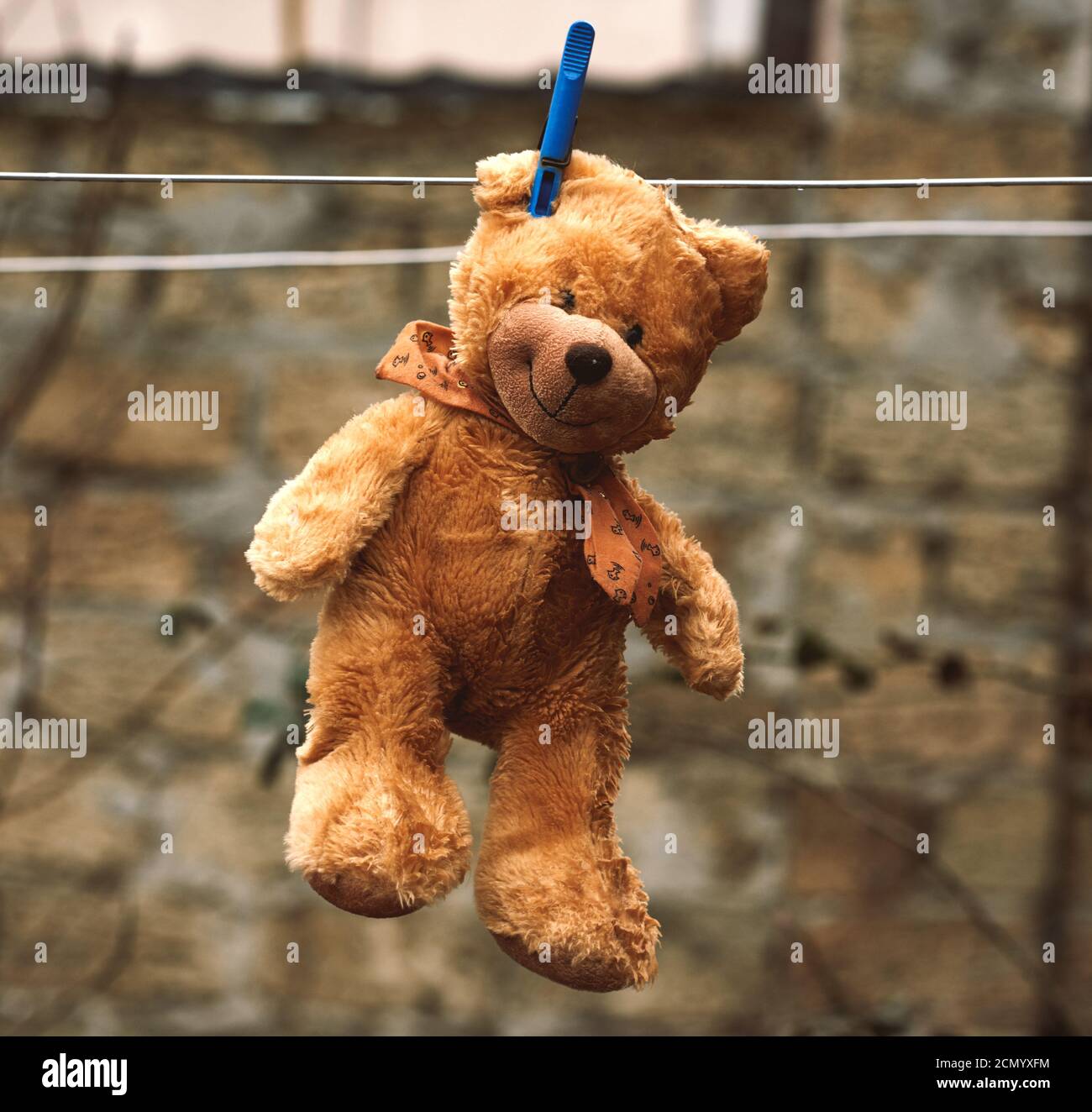 cute brown wet teddy bear hanging on a clothesline and drying Stock ...