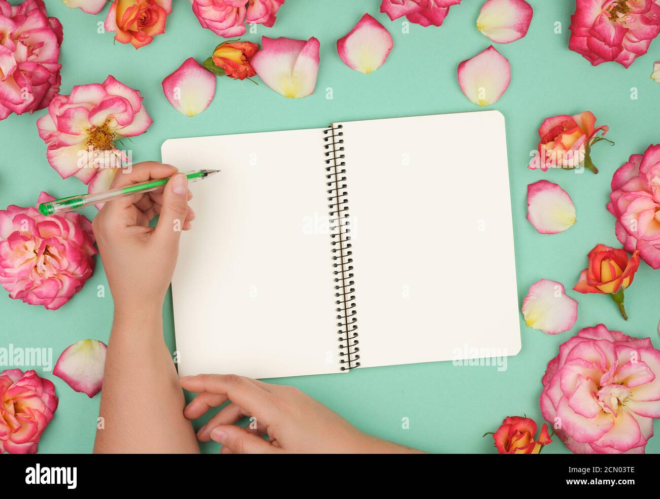 left female hand holds a green pen over empty white sheet of paper ...
