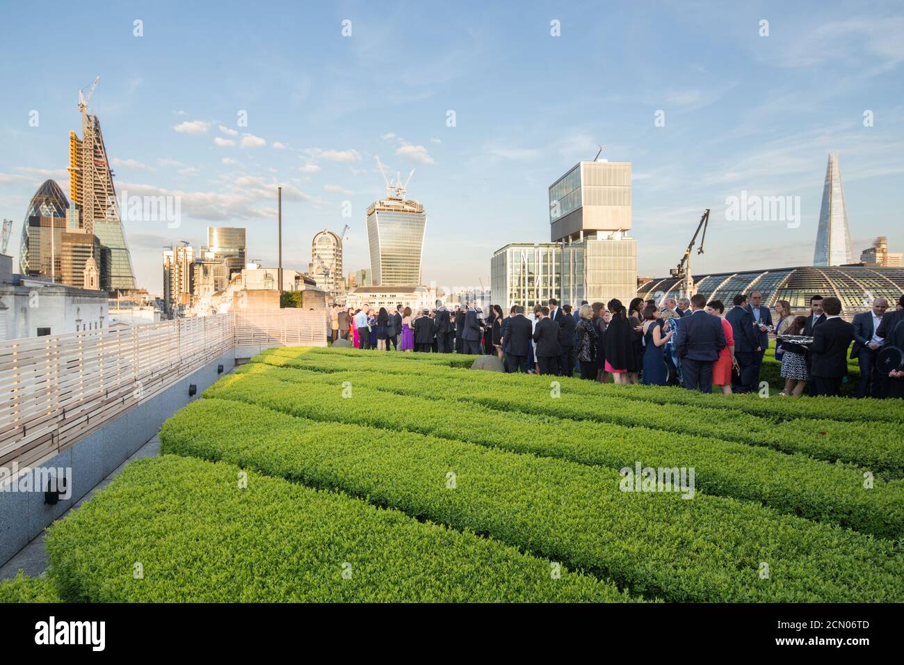 Poultry crowd hi-res stock photography and images - Alamy