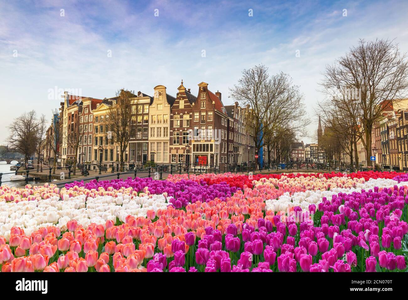 Tulip town not japan hi-res stock photography and images - Alamy