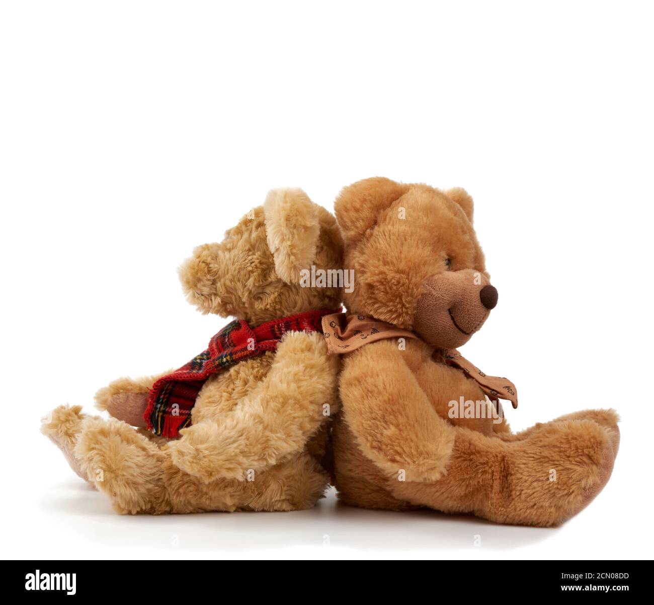 two cute curly brown teddy bears sit back to back Stock Photo - Alamy