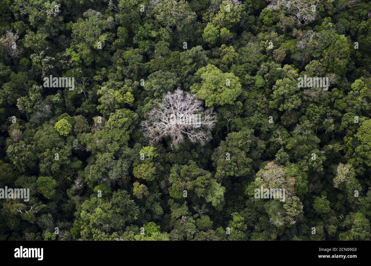 Aerial rainforest brazil settlement hi-res stock photography and images ...