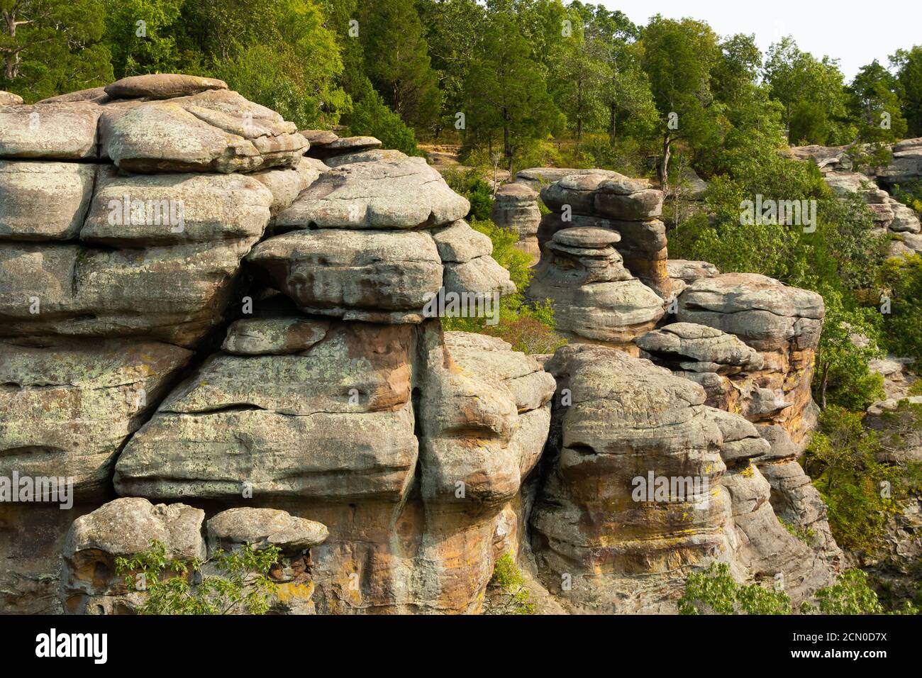 Rock formations at he Garden of the Gods in the afternoon light ...