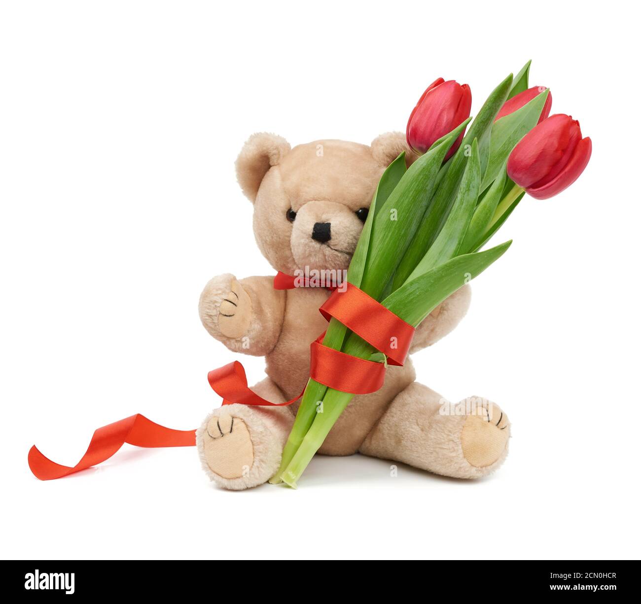 Cute Brown Teddy Bear Holds In His Paw A Bouquet Of Red Tulips Festive