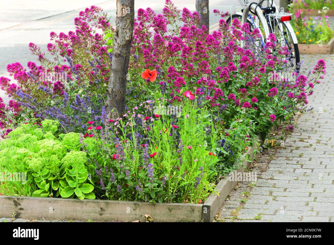 Planting labels hi-res stock photography and images - Alamy
