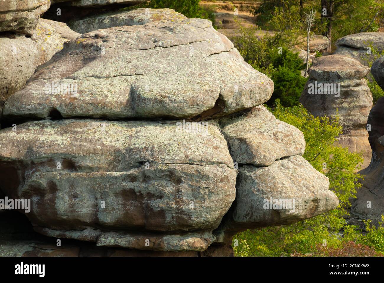 Rock formations at he Garden of the Gods in the afternoon light ...