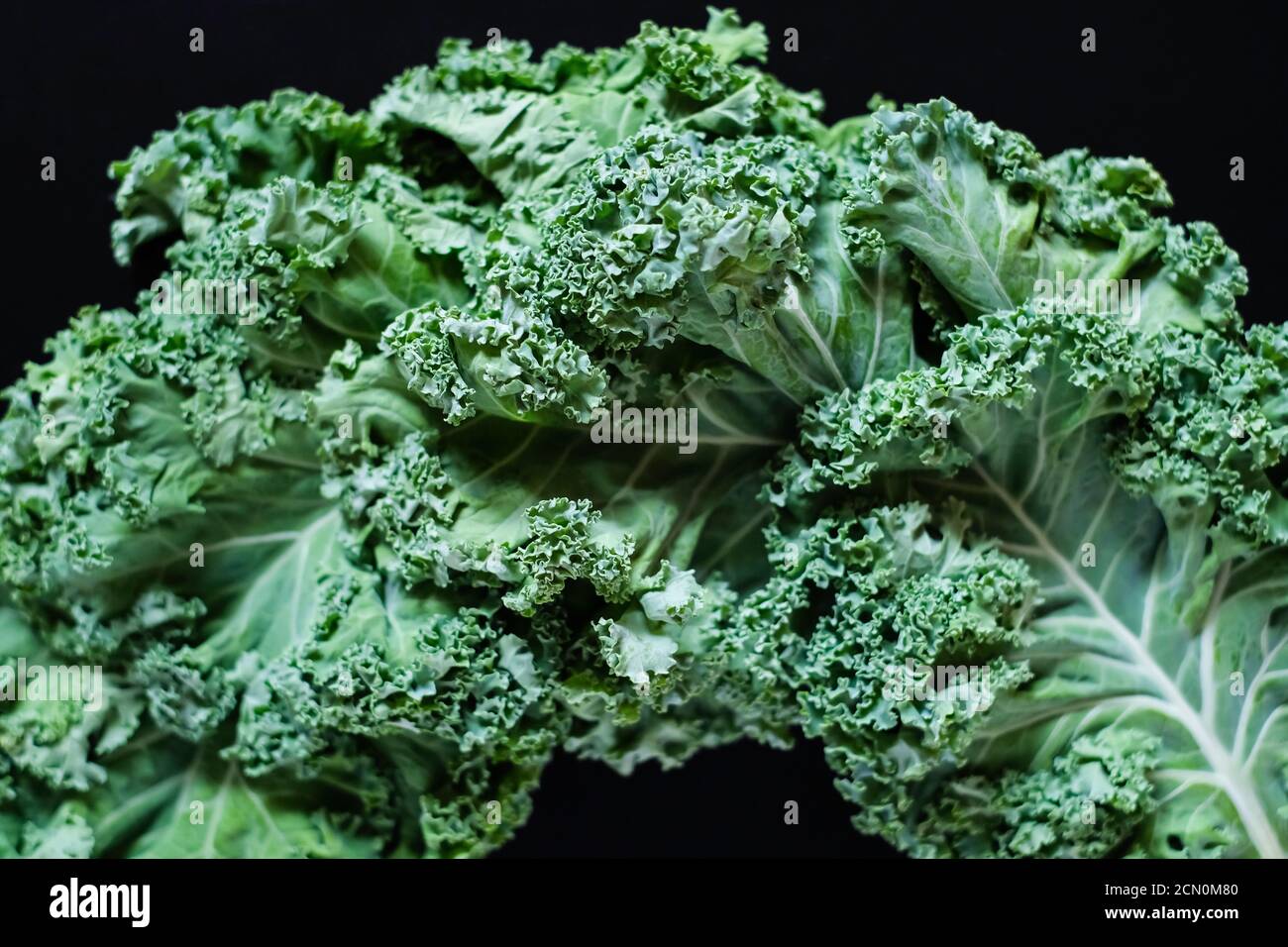 Fresh raw green curly-leaf kale or leaf cabbage on black background ...