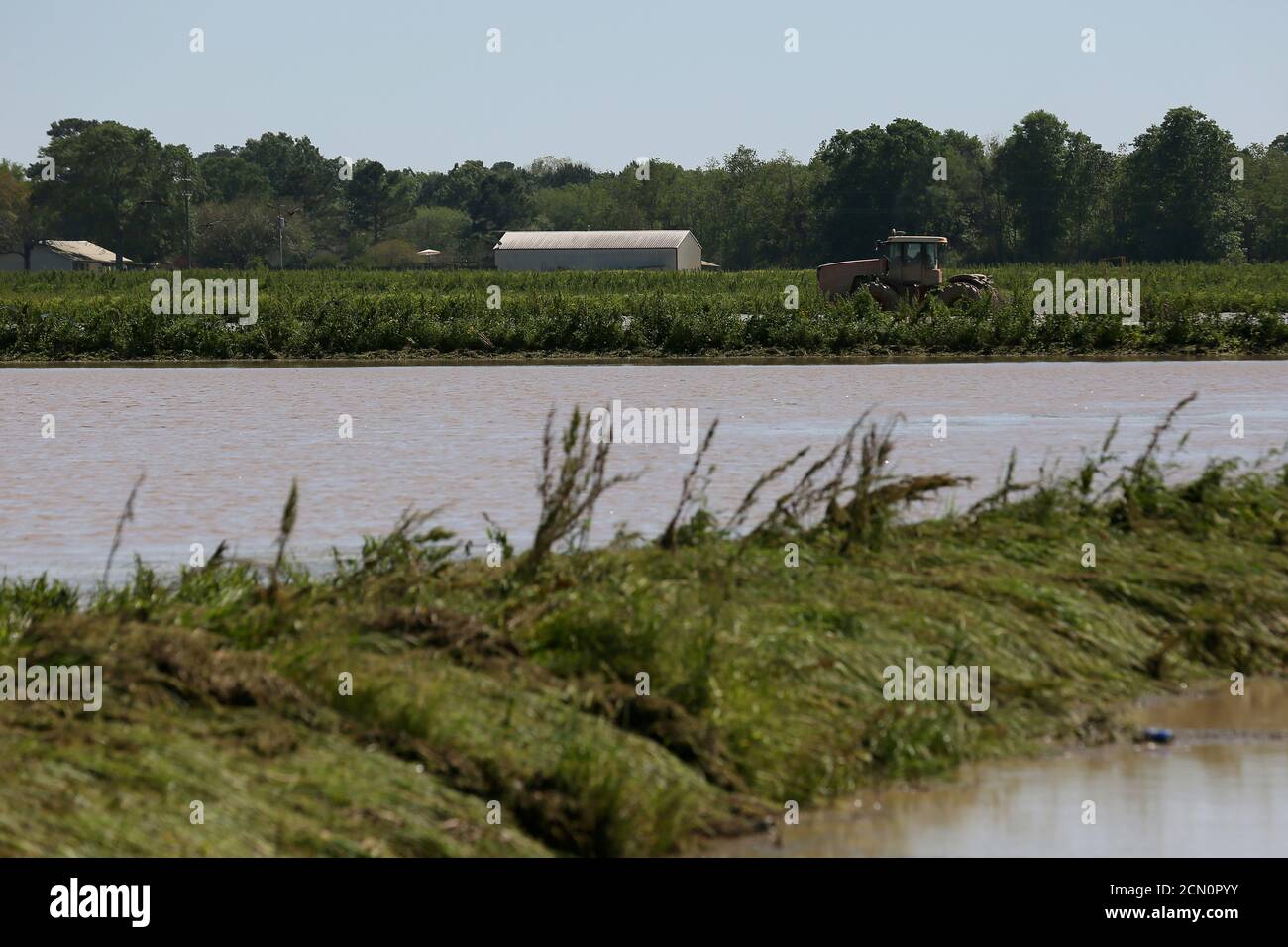 Crawfish crawfish farm louisiana hi-res stock photography and images ...