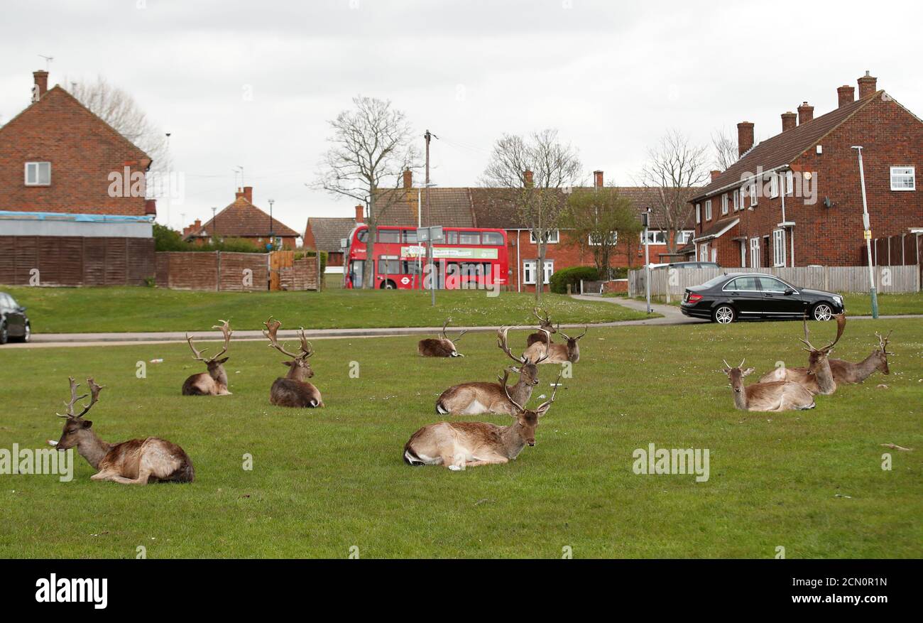 Harold Hill High Resolution Stock Photography and Images - Alamy