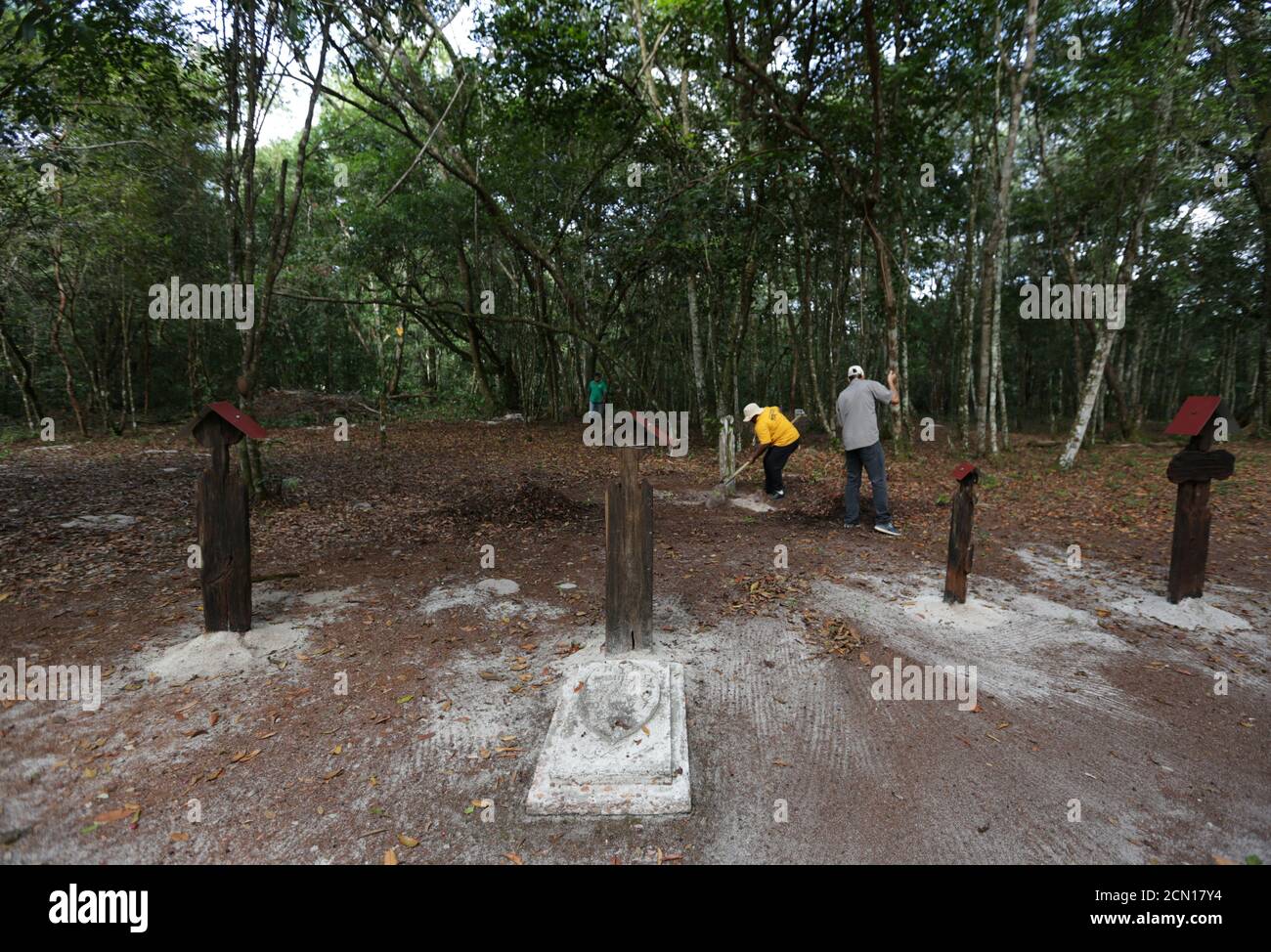 Redi doti hi-res stock photography and images - Alamy