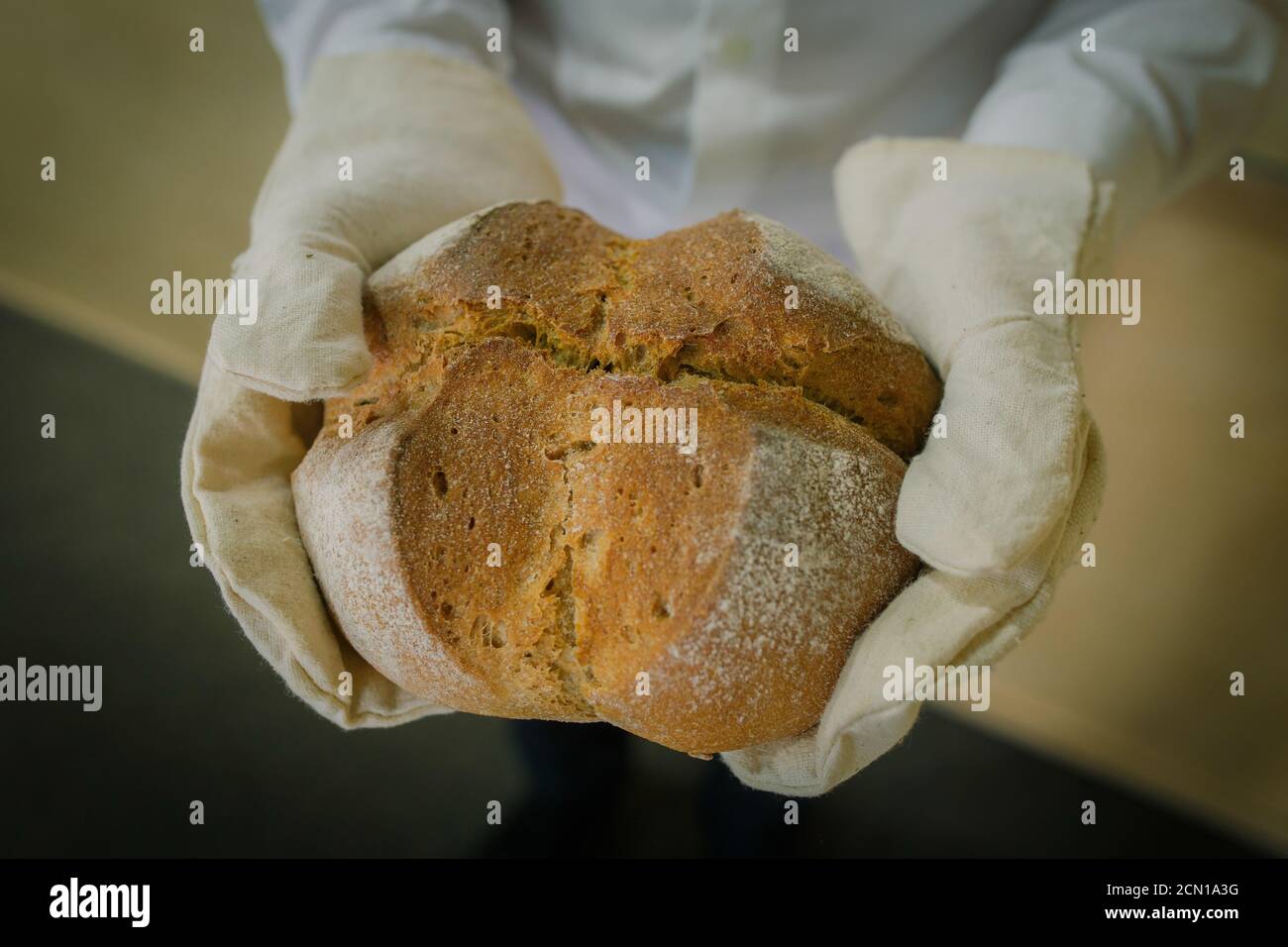 Baker holding fresh round bread with linen mittens Stock Photo - Alamy