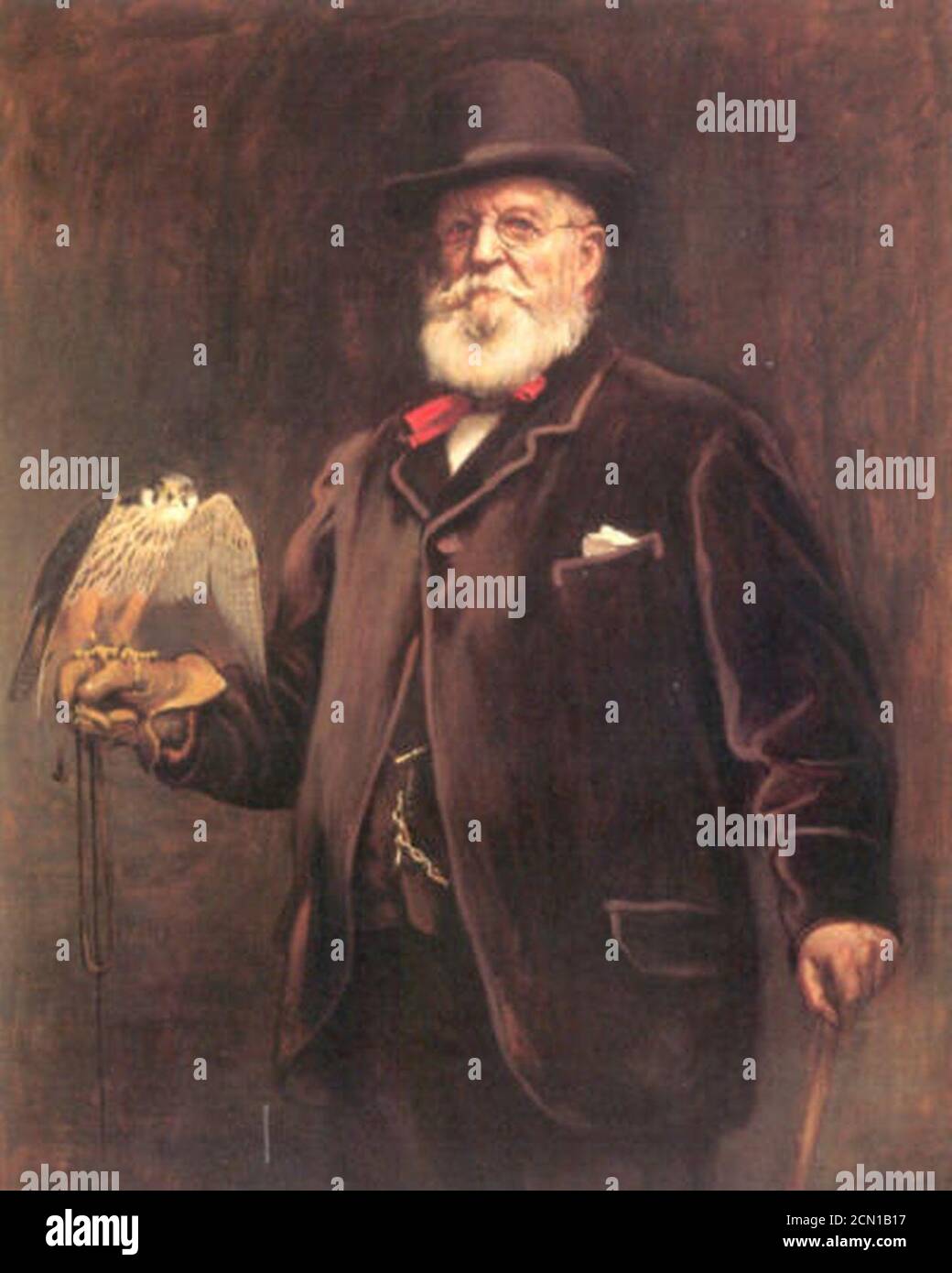 Joseph wolf hi-res stock photography and images - Alamy