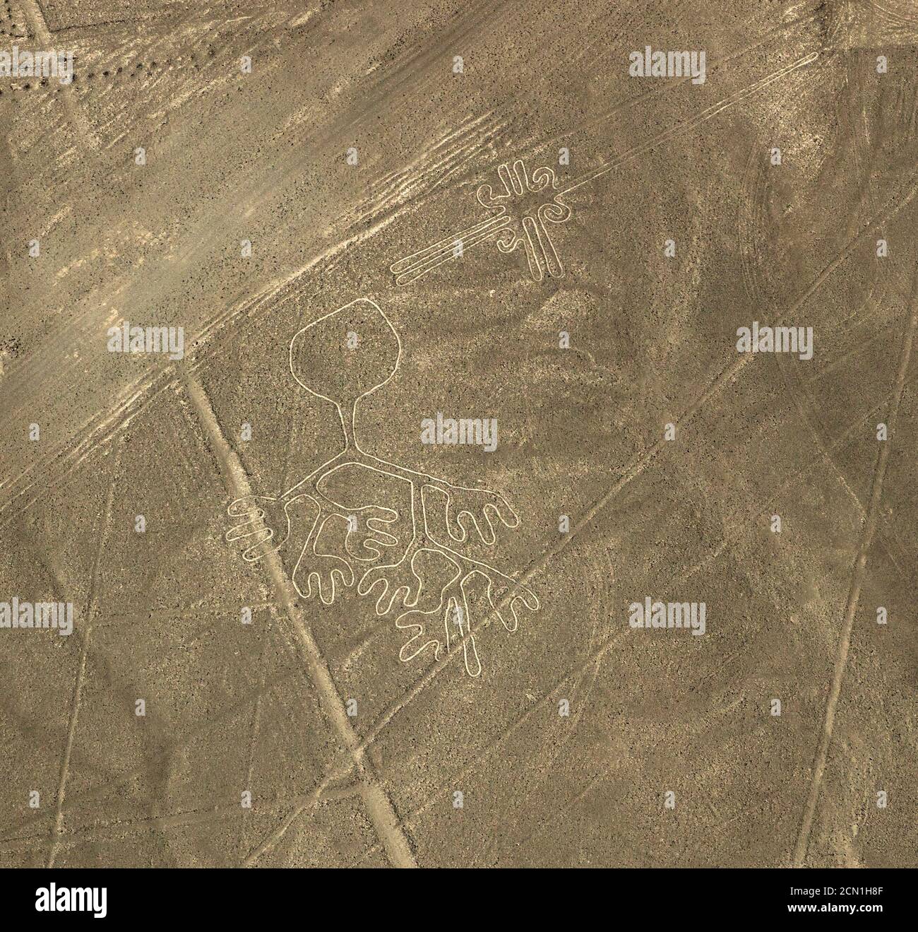 Nazca lines peru hi-res stock photography and images - Alamy