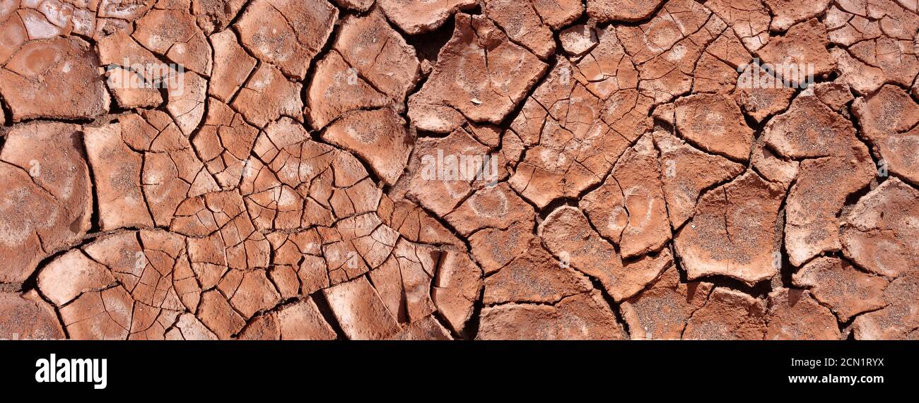 Dry mud background texture banner Stock Photo - Alamy