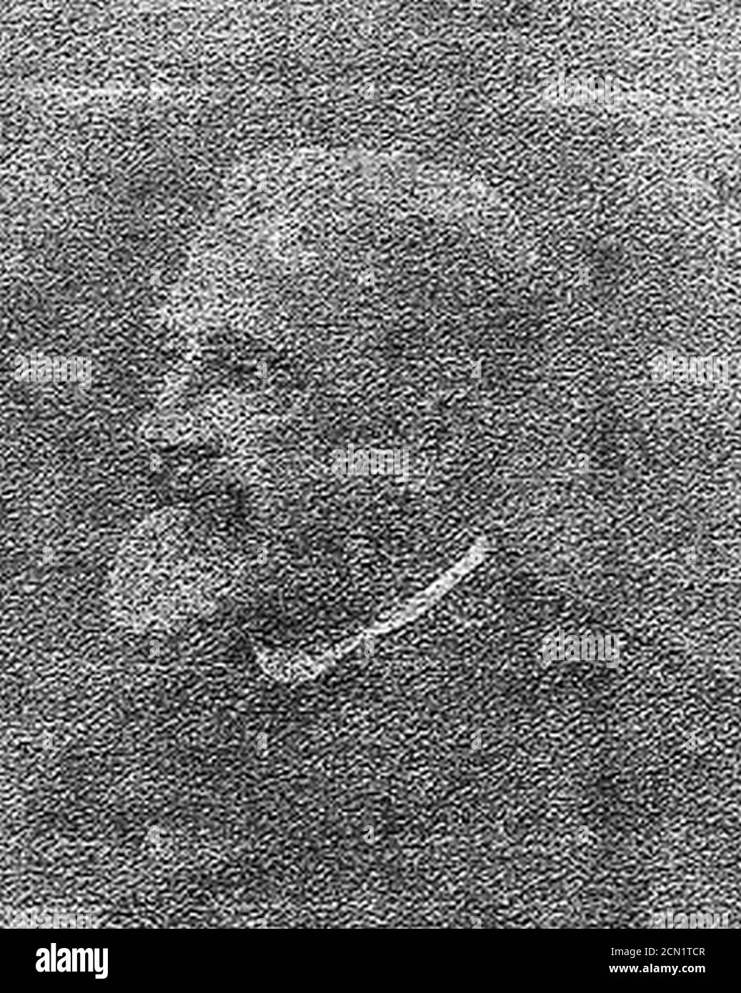 Janer hi-res stock photography and images - Alamy