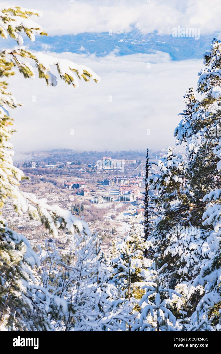 Hill snow trees hi-res stock photography and images - Alamy