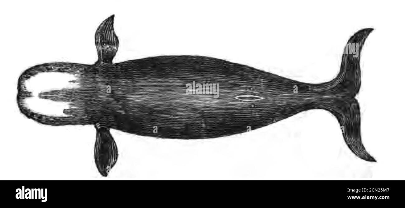 A voyage Cut Out Stock Images & Pictures - Alamy