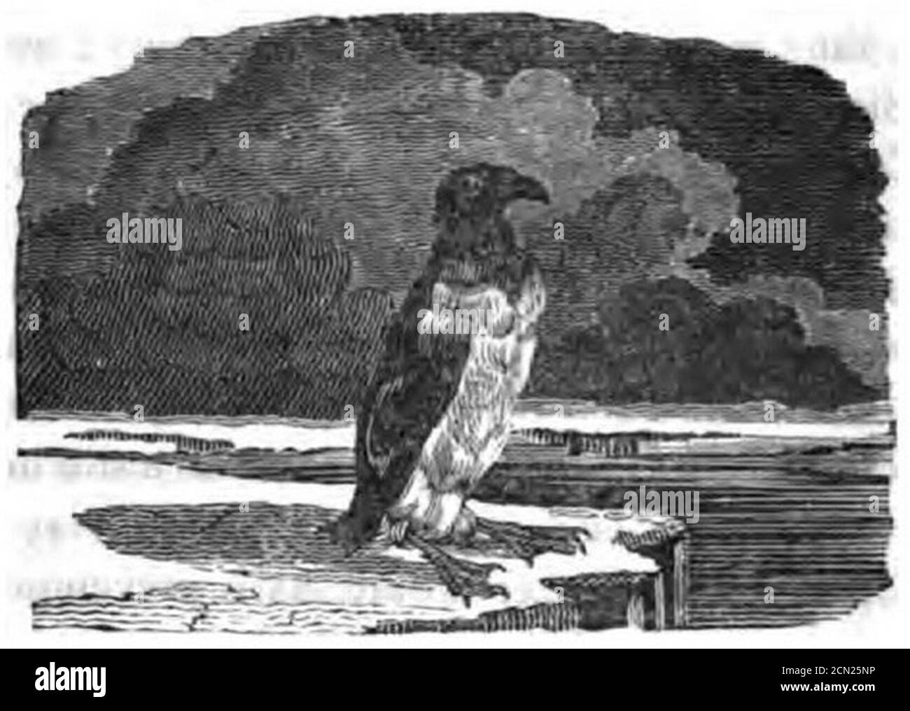 A voyage Cut Out Stock Images & Pictures - Alamy