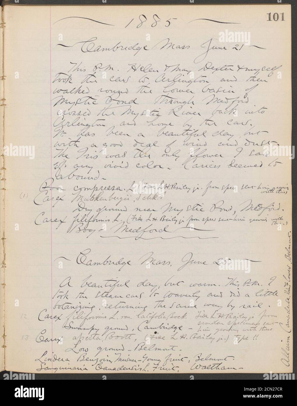 Journal, 1885-1886 (Page 101 Stock Photo - Alamy