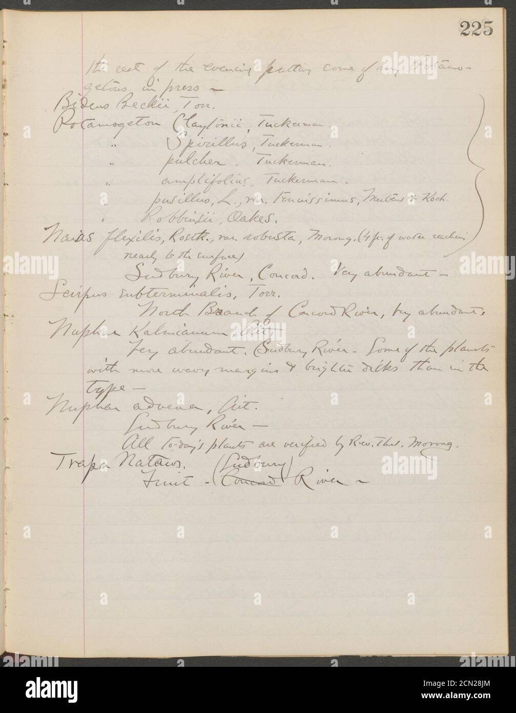 1886 journal hi-res stock photography and images - Alamy