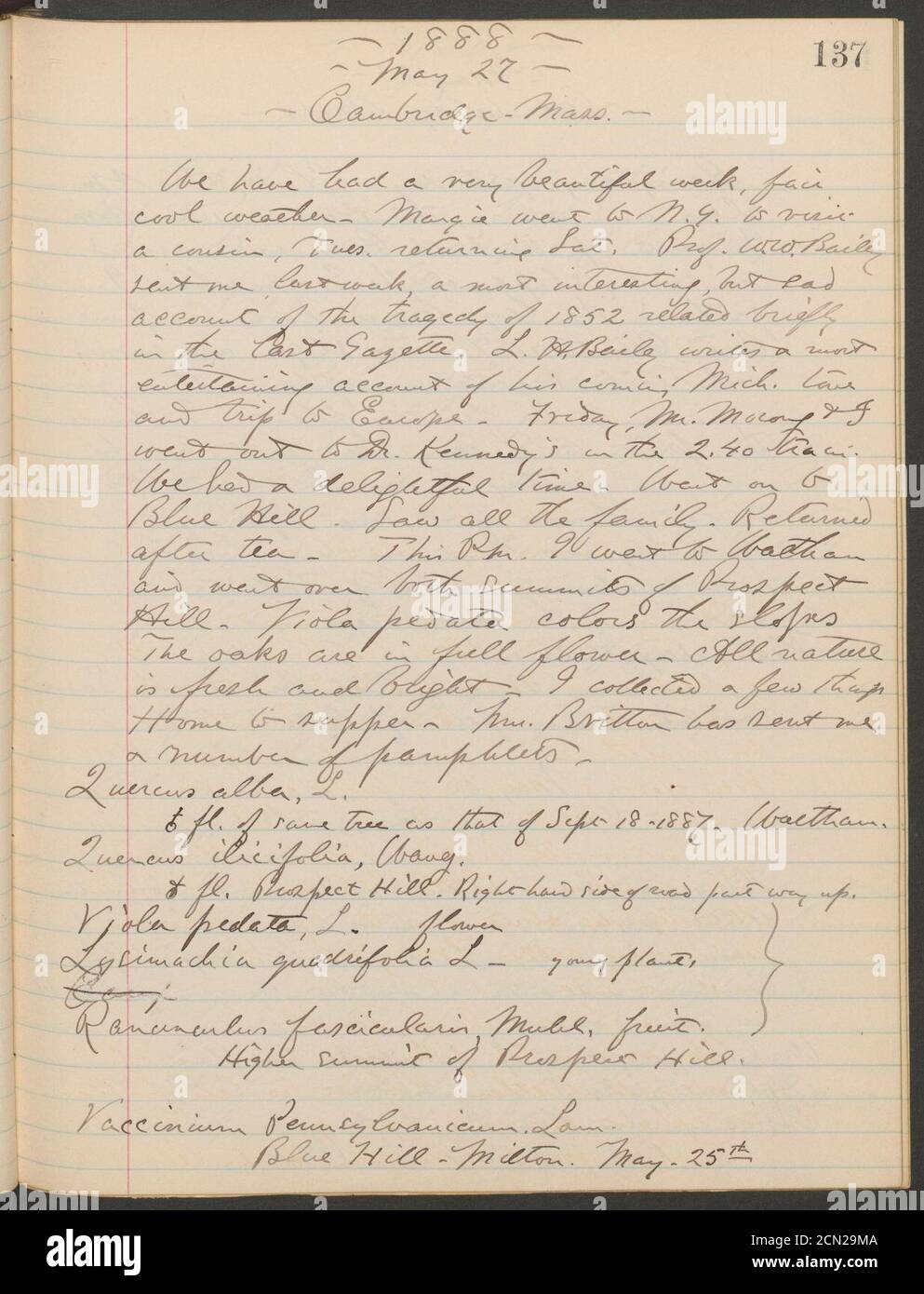 Journal, 1887-1890 (inclusive) (Page 137 Stock Photo - Alamy